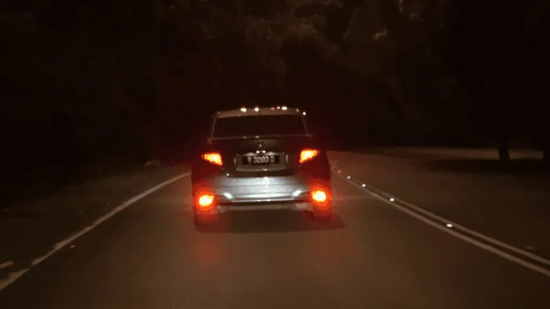 An Ultimate Guide to Rear Fog Lights - Carlightvision